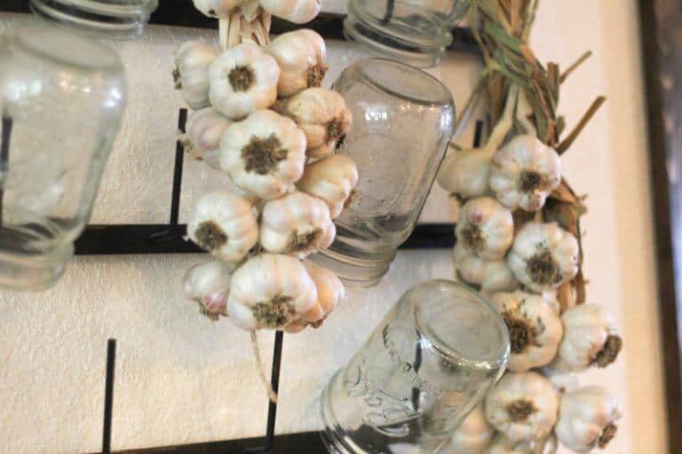 How to Braid Garlic • The Prairie Homestead
